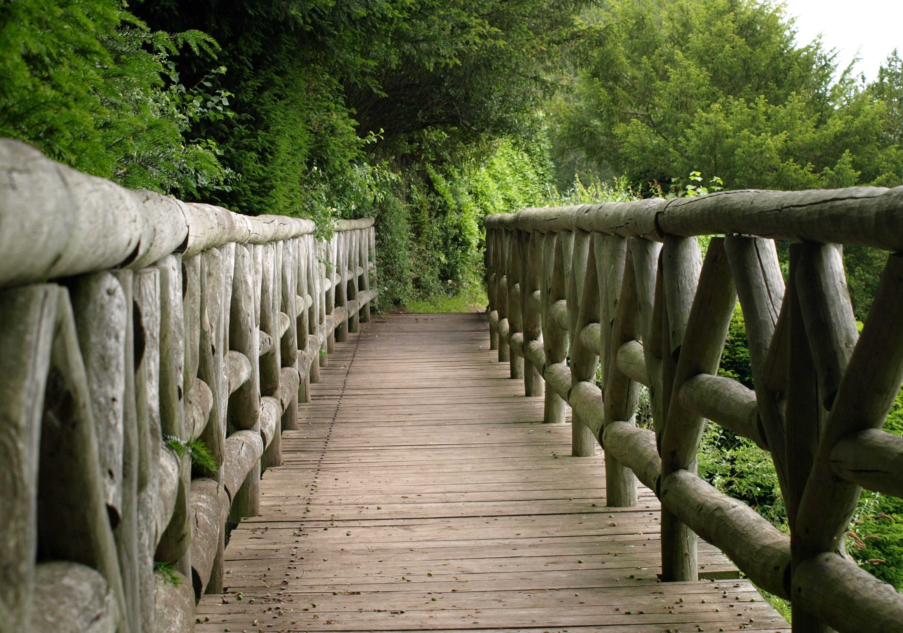 The Liminal Experience – 20 Minutes a Day