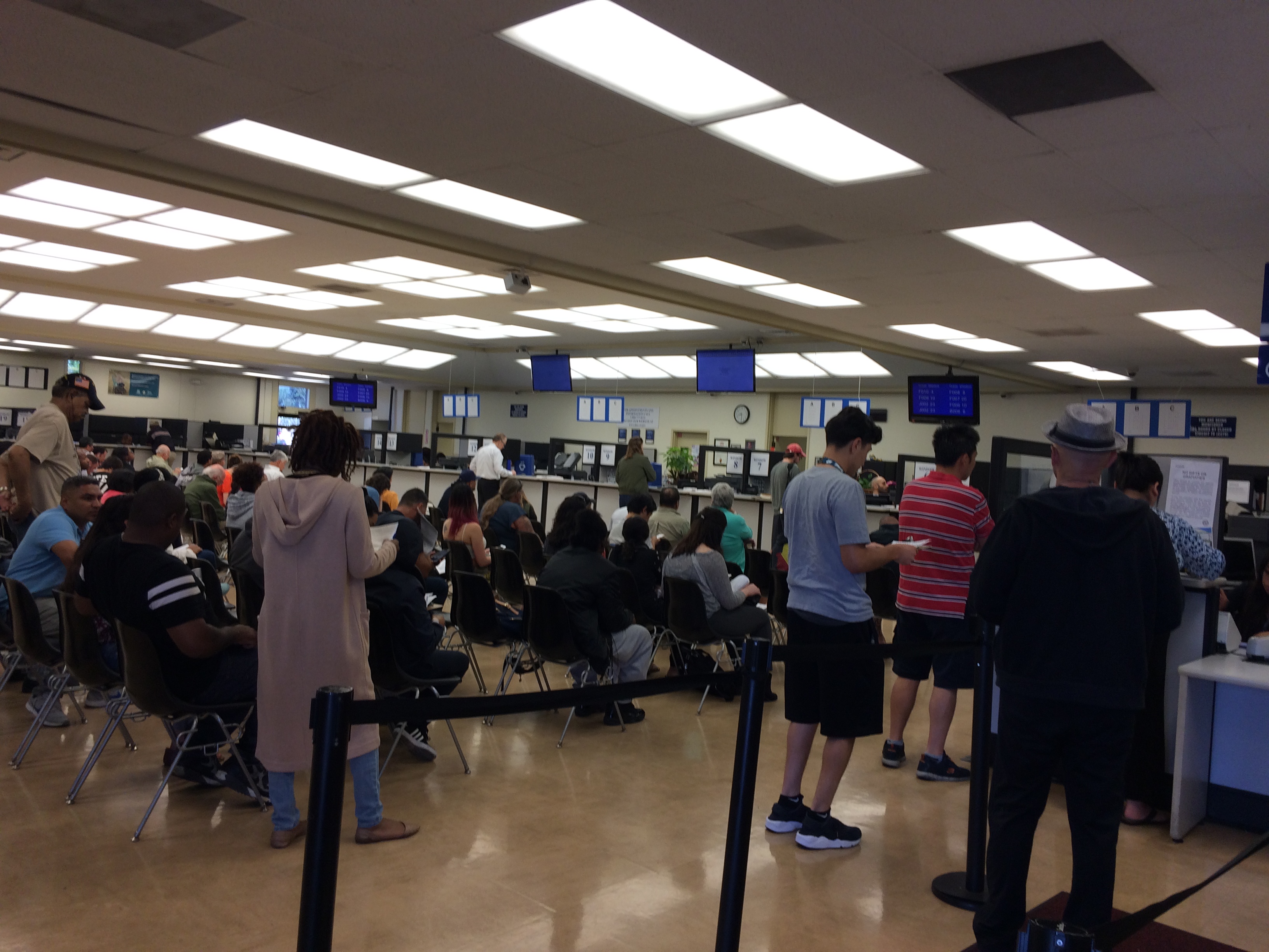 The Agony and Ecstasy of the DMV – 20 Minutes a Day