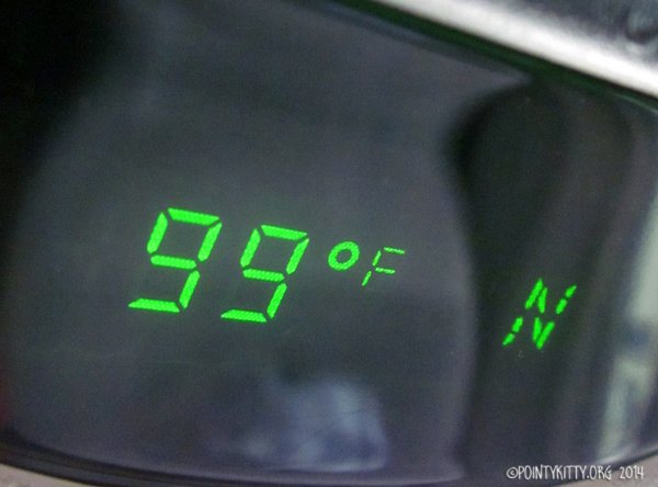 Weathering the Weather in Ojai – 20 Minutes a Day