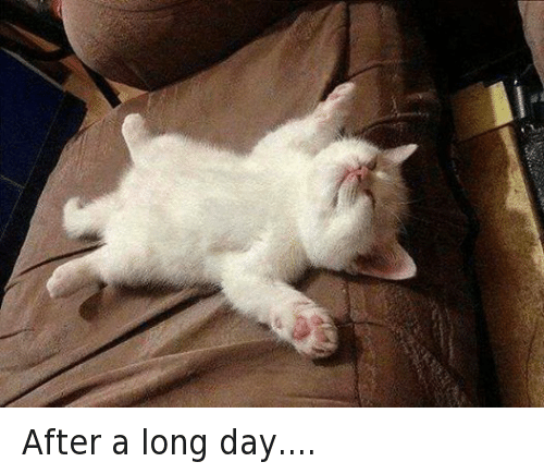 After a Long Work Day – 20 Minutes a Day